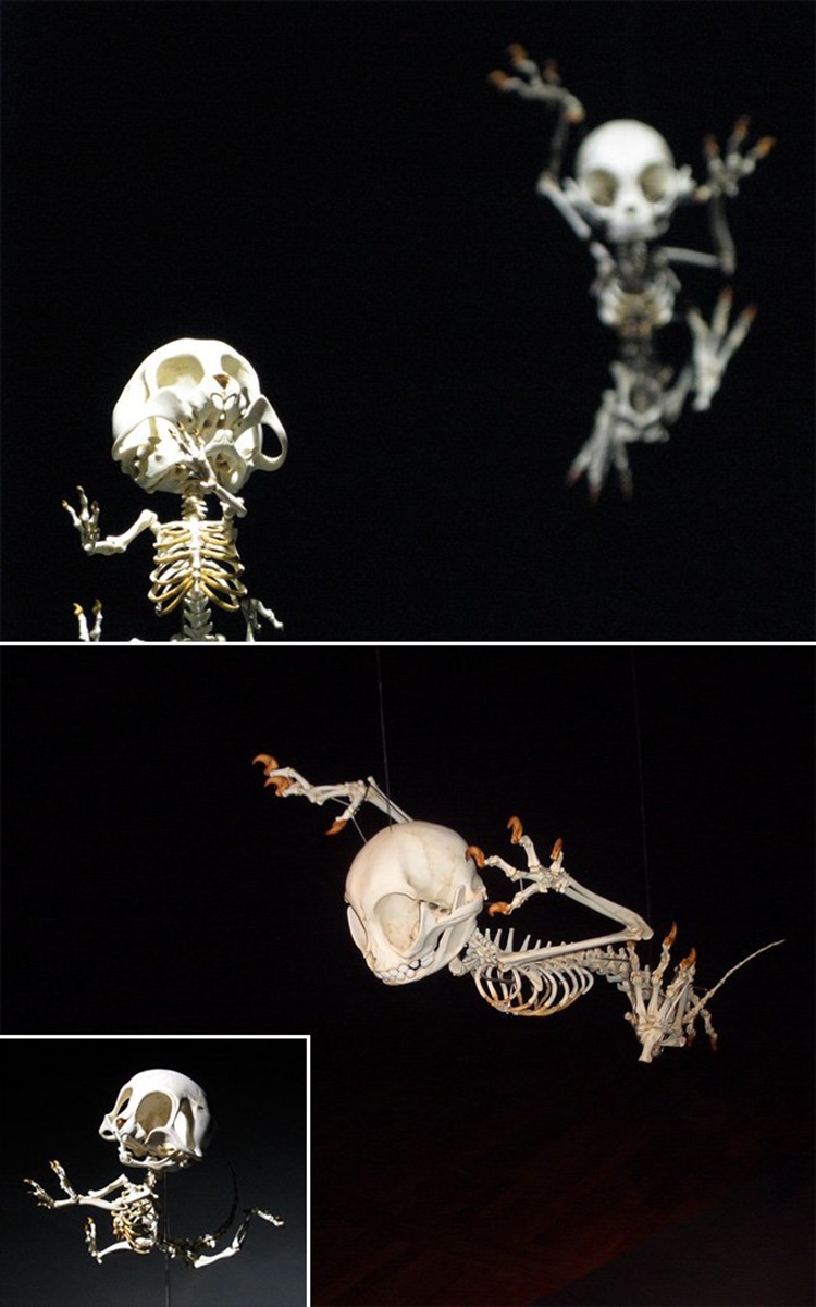 Artist creates Skeletons of Cartoon Characters