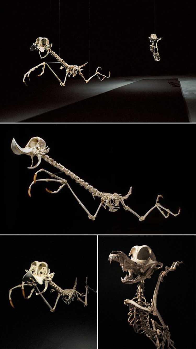 Artist creates Skeletons of Cartoon Characters