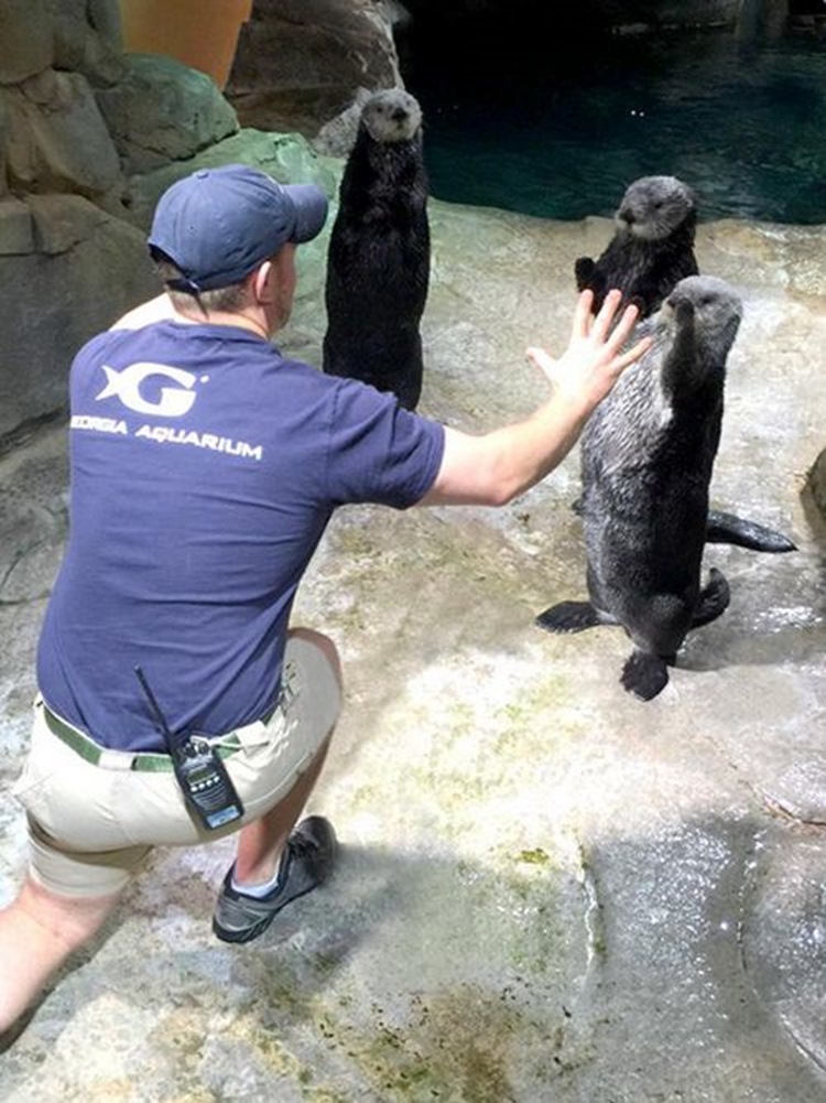 Zoo Staff inspired by Jurassic World (20 Photos)