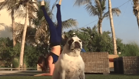 Yoga Fails - Badchix Magazine