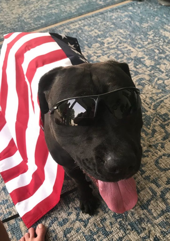 Sun's Out, Rum's Out - Happy 4th of July (30 Photos) - Badchix Magazine